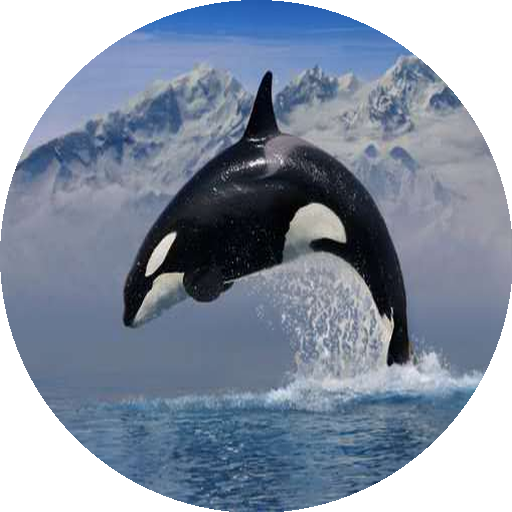 Xin Cheng’s homepage